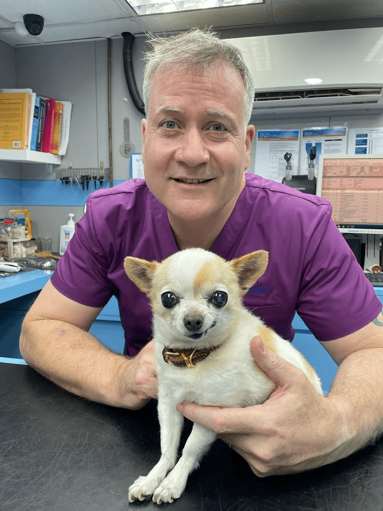About Us | Sai Kung Animal Hospital
